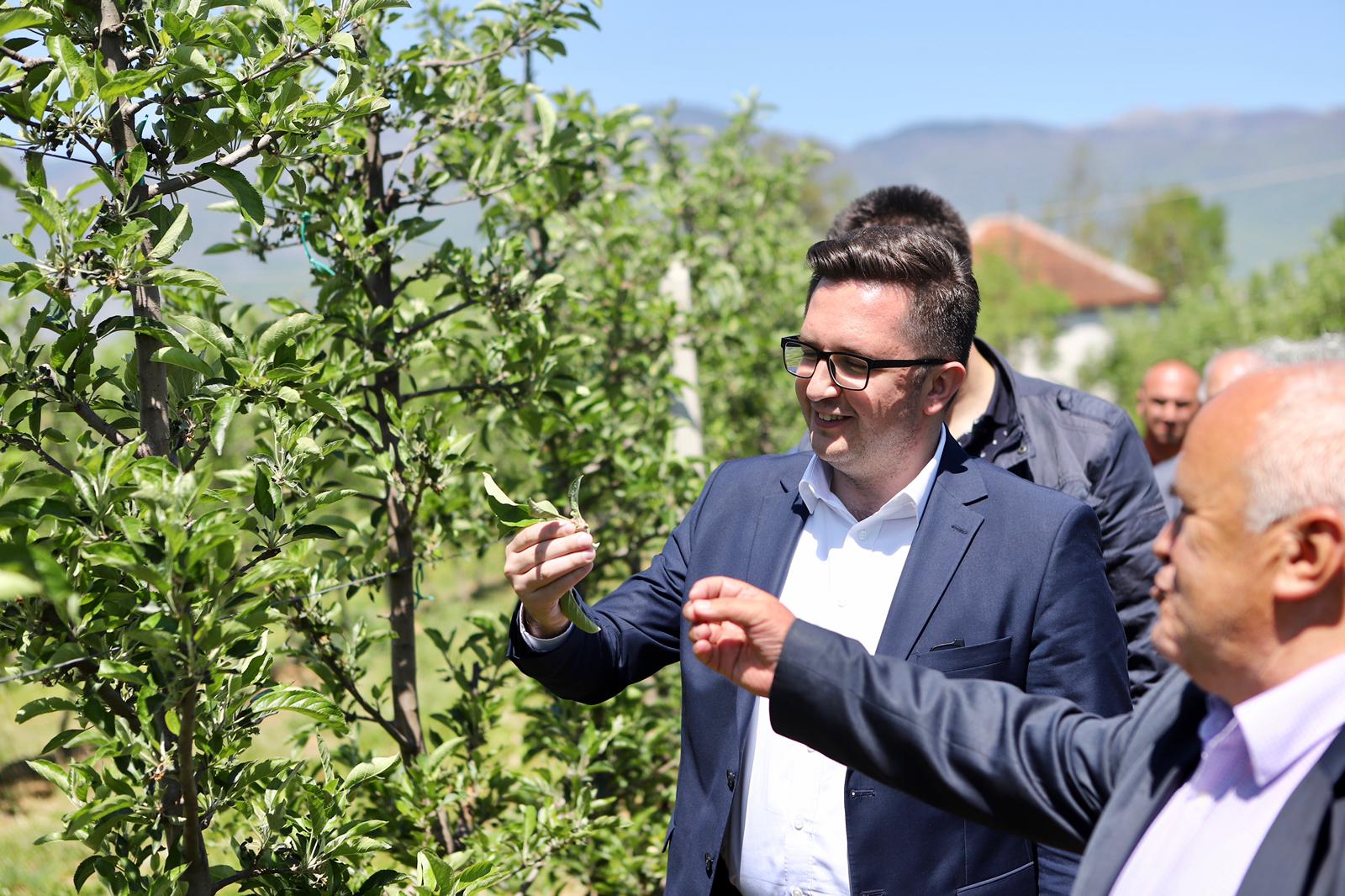 Besian Mustafa: Prodhuesit bujqësor në Istog, do ta kenë mbështetjen ...