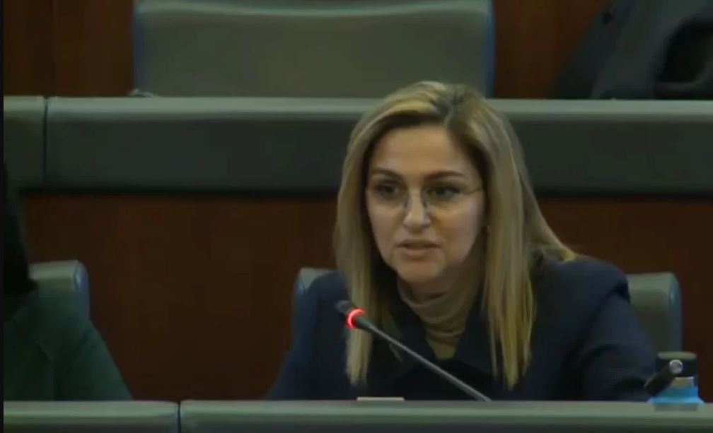 Shqipe Mehmeti-Selimi kërkon dorëheqjen e Lumir Abdixhikut dhe Doarsa ...