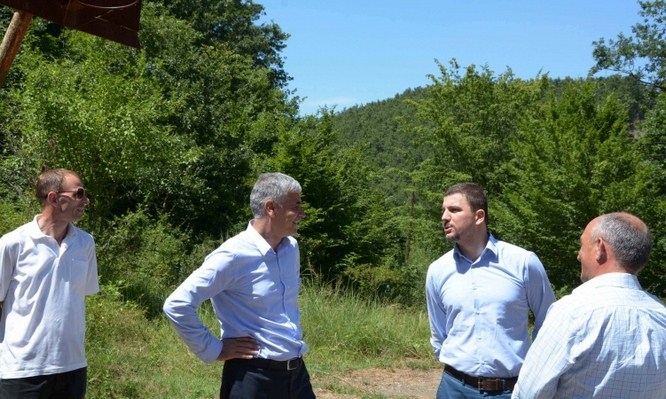 Nis pyllëzimi i rreth 300 hektarëve tokë pyjore - Radio Kosova e Lirë