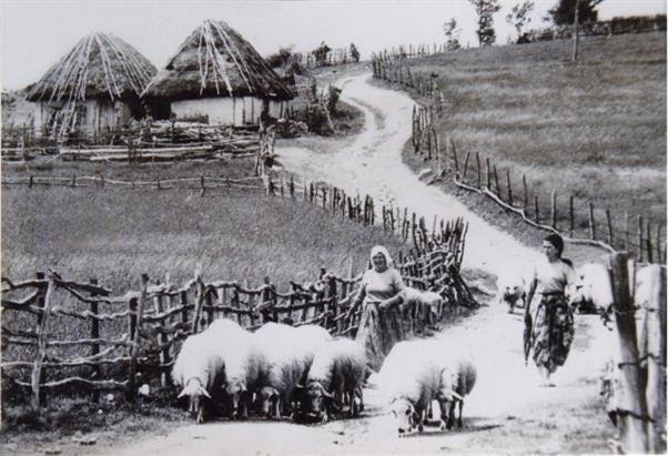 Ismet Azizi: Represaliet, dhuna, shpërngulja, analfabetizmi faktorë të ...