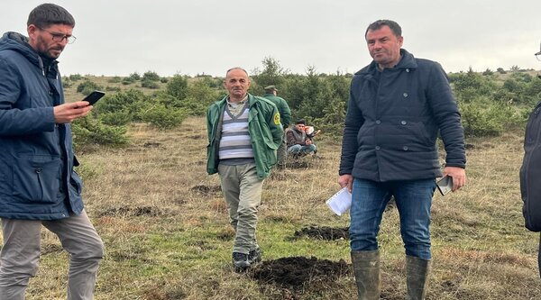 Në Komunën e Rahovecit filloi pyllëzimi i sipërfaqeve të zhveshura ...