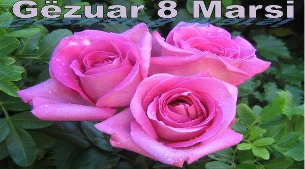 Urimi i Kryetarit të Komunës së Klinës, Prof. Dr. Zenun Elezaj, me ...